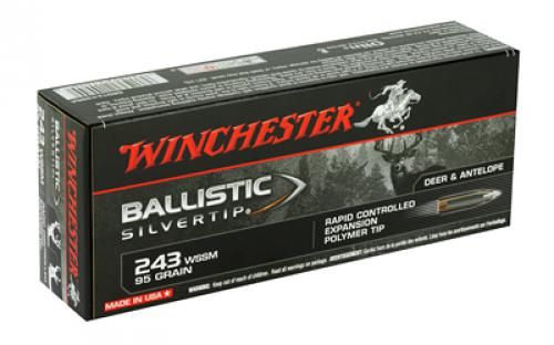 Winchester Ammunition Ballistic Silvertip, 243 Super Short Magnum, 95 Grain, Pol | Family ...